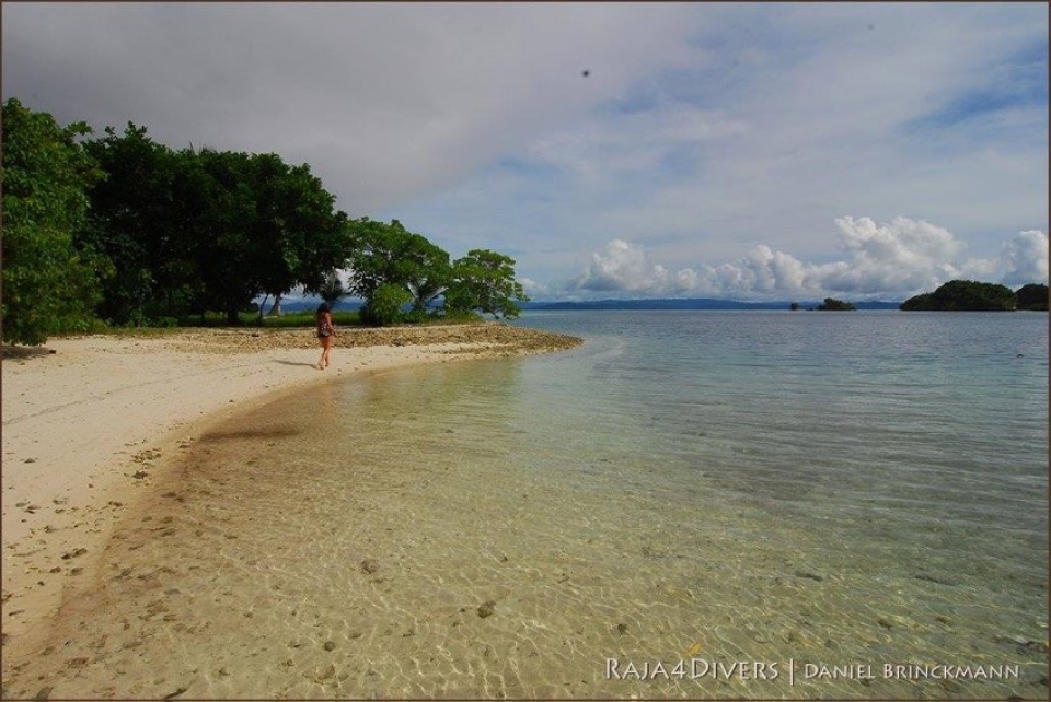 Raja 4 Divers - Originaltour Tour Operator