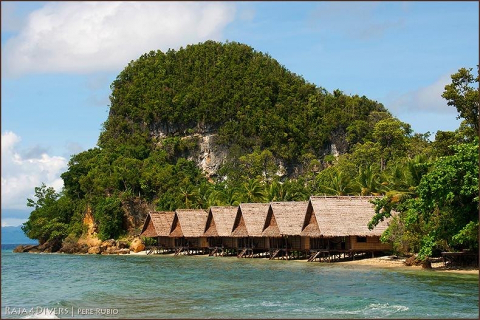 Raja 4 Divers - Originaltour Tour Operator