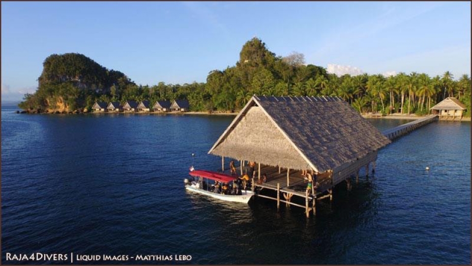 Raja 4 Divers - Originaltour Tour Operator