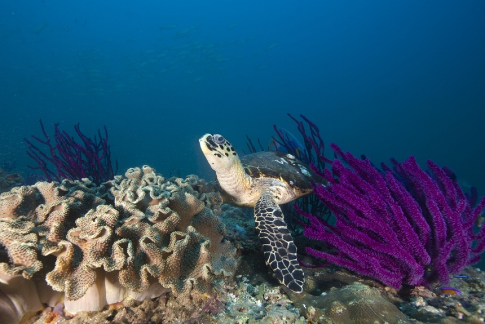 Vacanze in Oman Tour e Viaggi in Oman: prezzi e offerte - Originaltour ...
