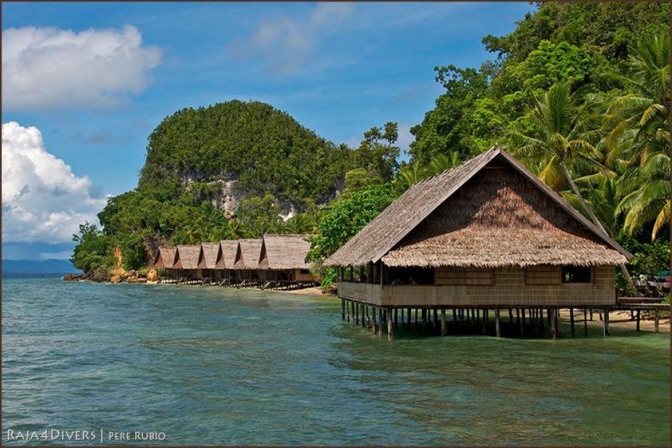 Raja 4 Divers - Originaltour Tour Operator