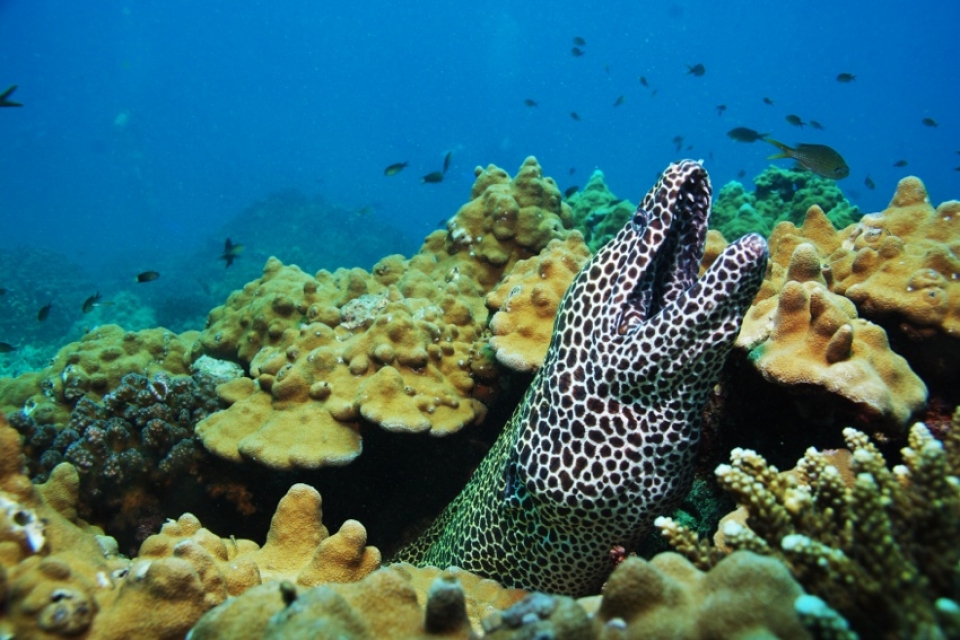 Vacanze in Oman Tour e Viaggi in Oman: prezzi e offerte - Originaltour ...