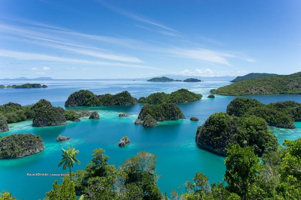 Raja 4 Divers - Originaltour Tour Operator