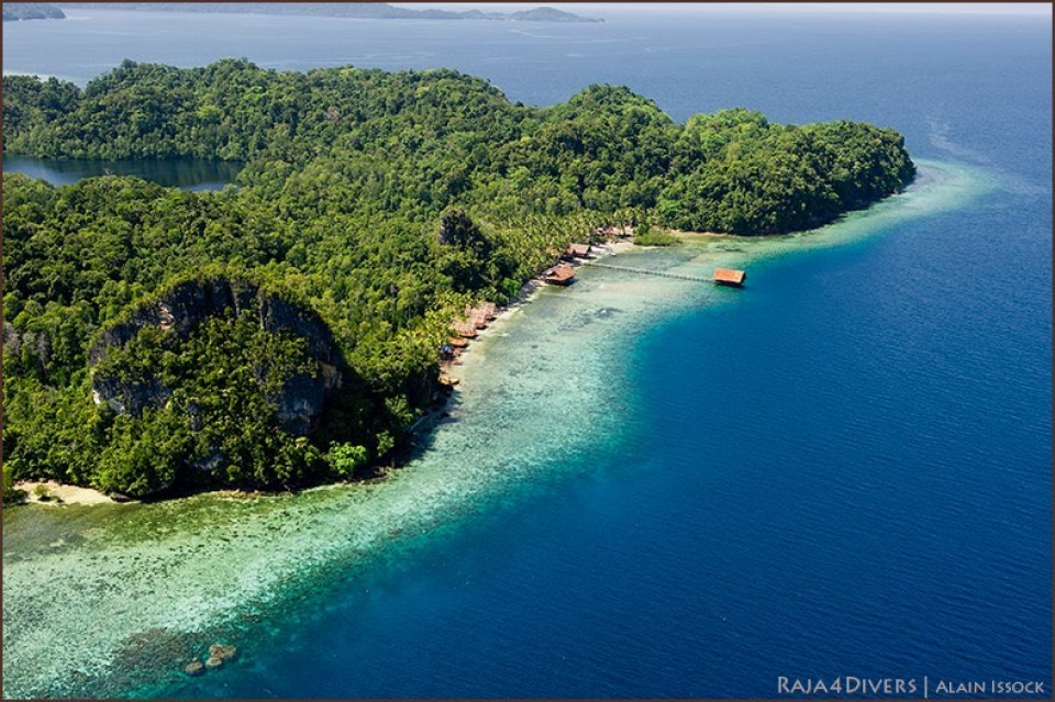 Raja 4 Divers - Originaltour Tour Operator